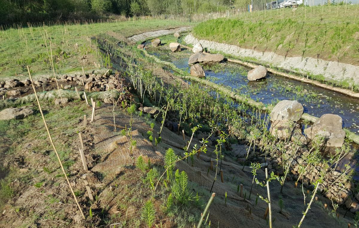 Swale Restoration on Public Land | Green Banks LLC